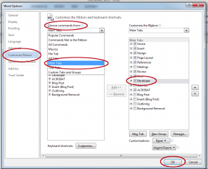 How to see the Developer tab in Word